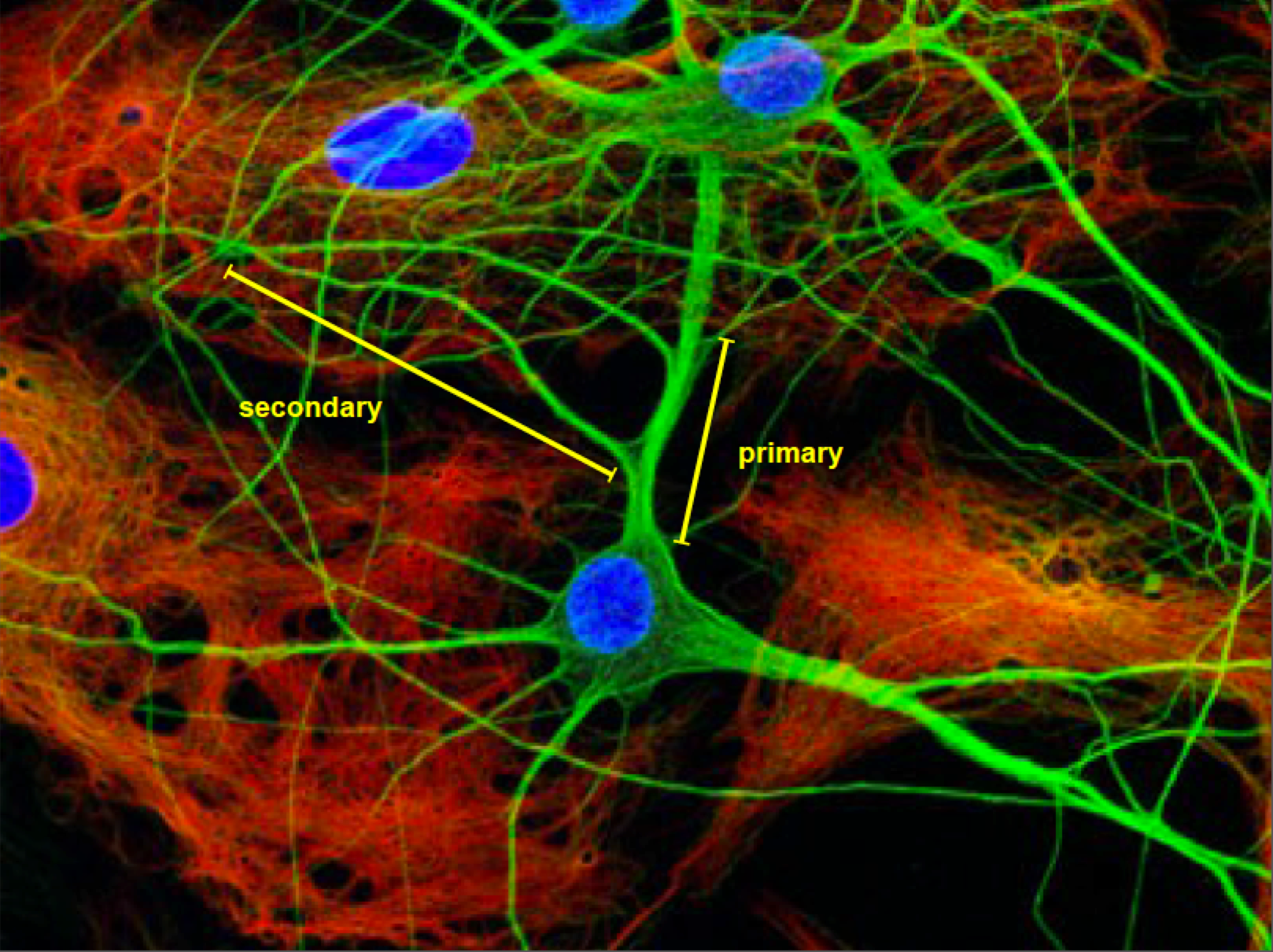 Python for Life Scientists: Managing biological data with Python